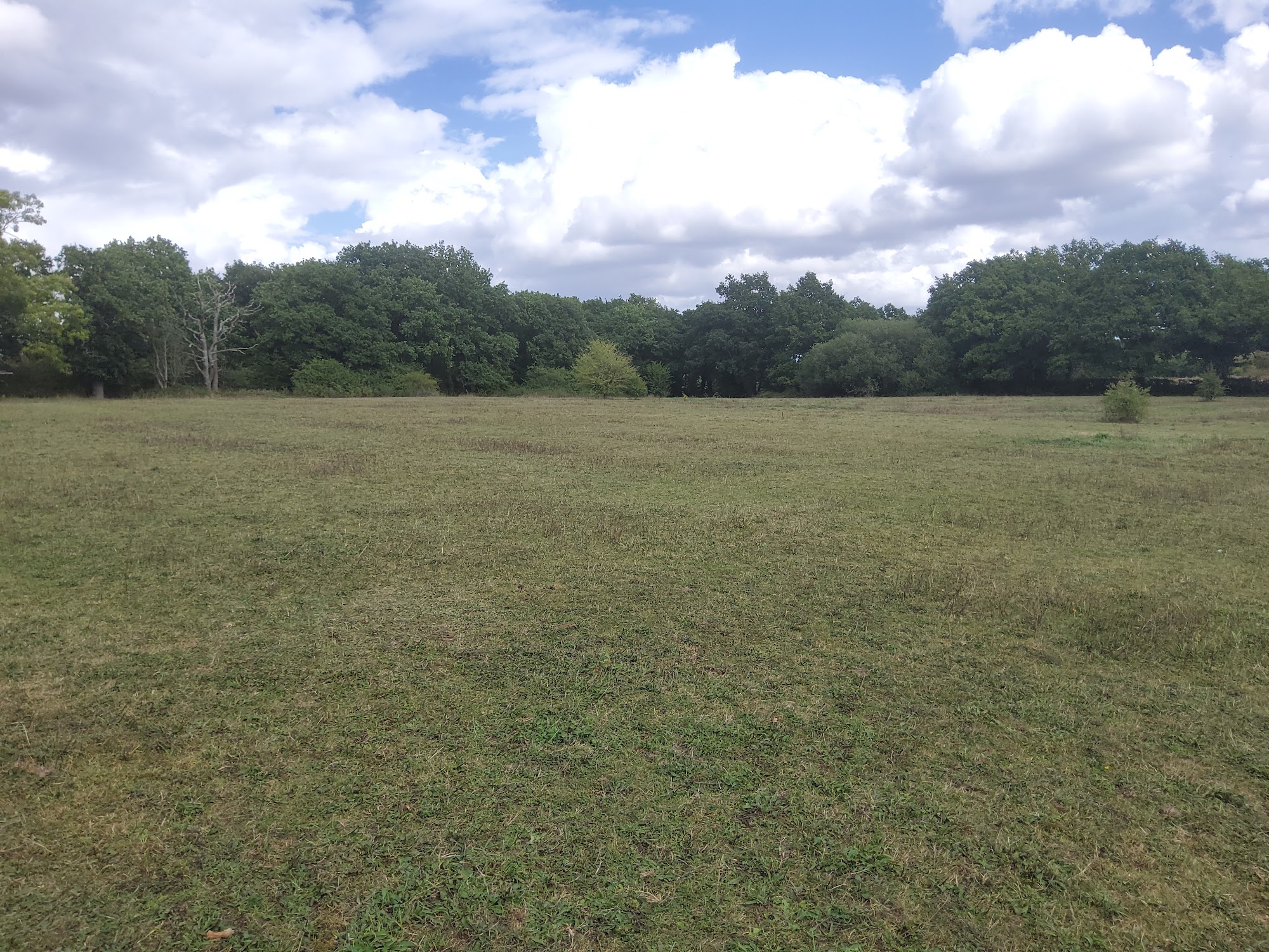 News – Pathfinder Clean Energy